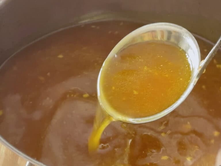 Best Chicken Bone Broth Recipe (Instant Pot) | Honest & Tasty